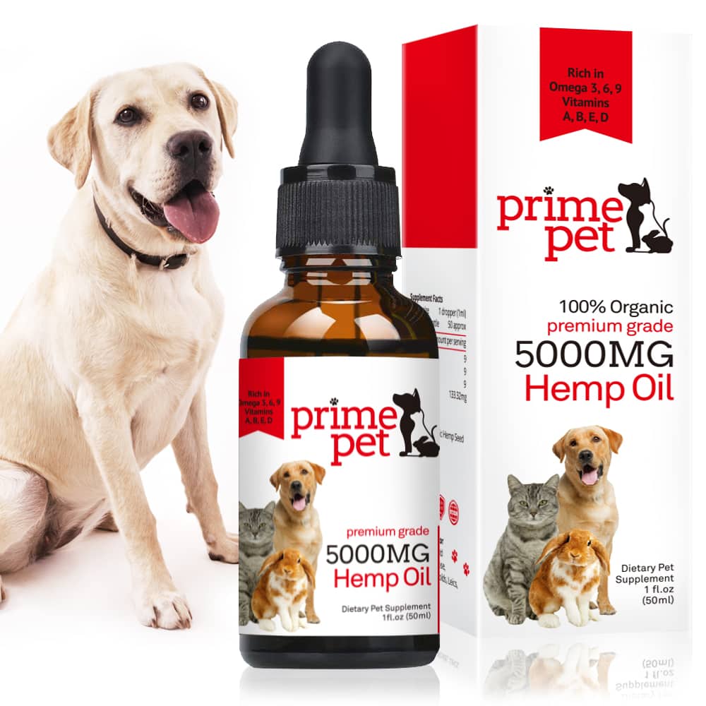 How To Use Hemp Oil For Dogs
